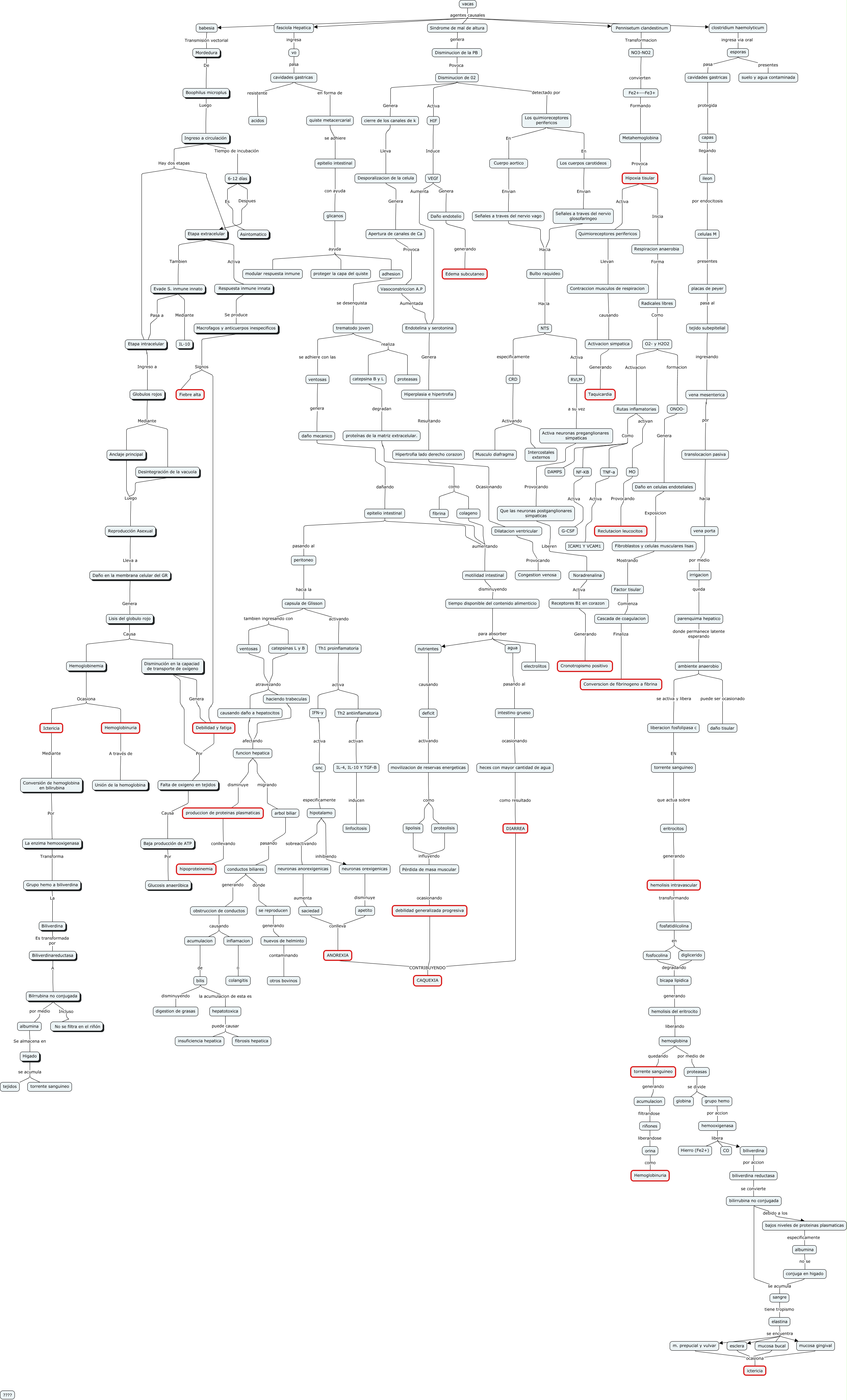 fisiopatologia sofia